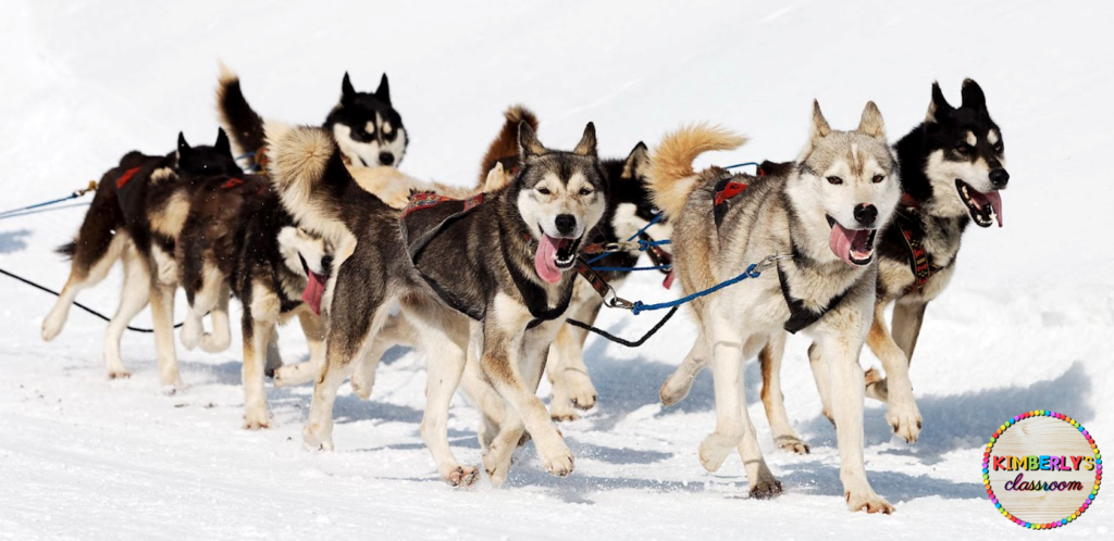 IDITAROD ACTIVITIES FOR YOUR CLASSROOM - Kimberly's Classroom